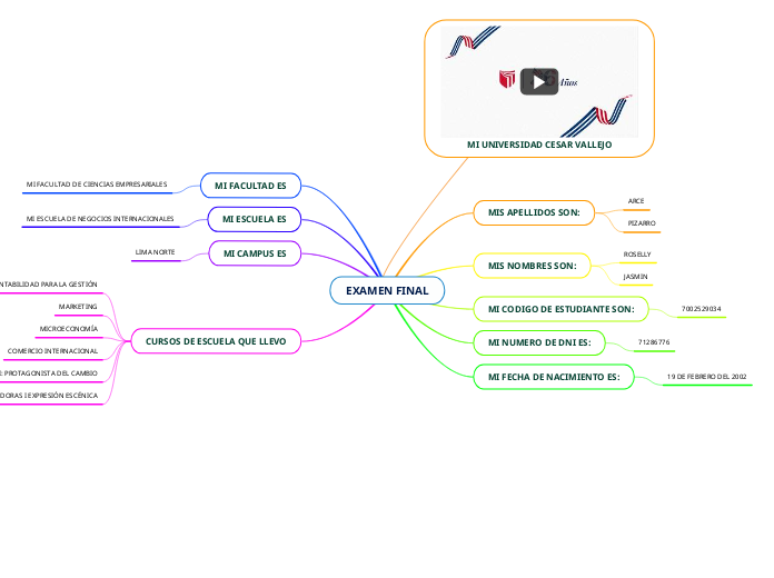 EXAMEN FINAL - Mind Map